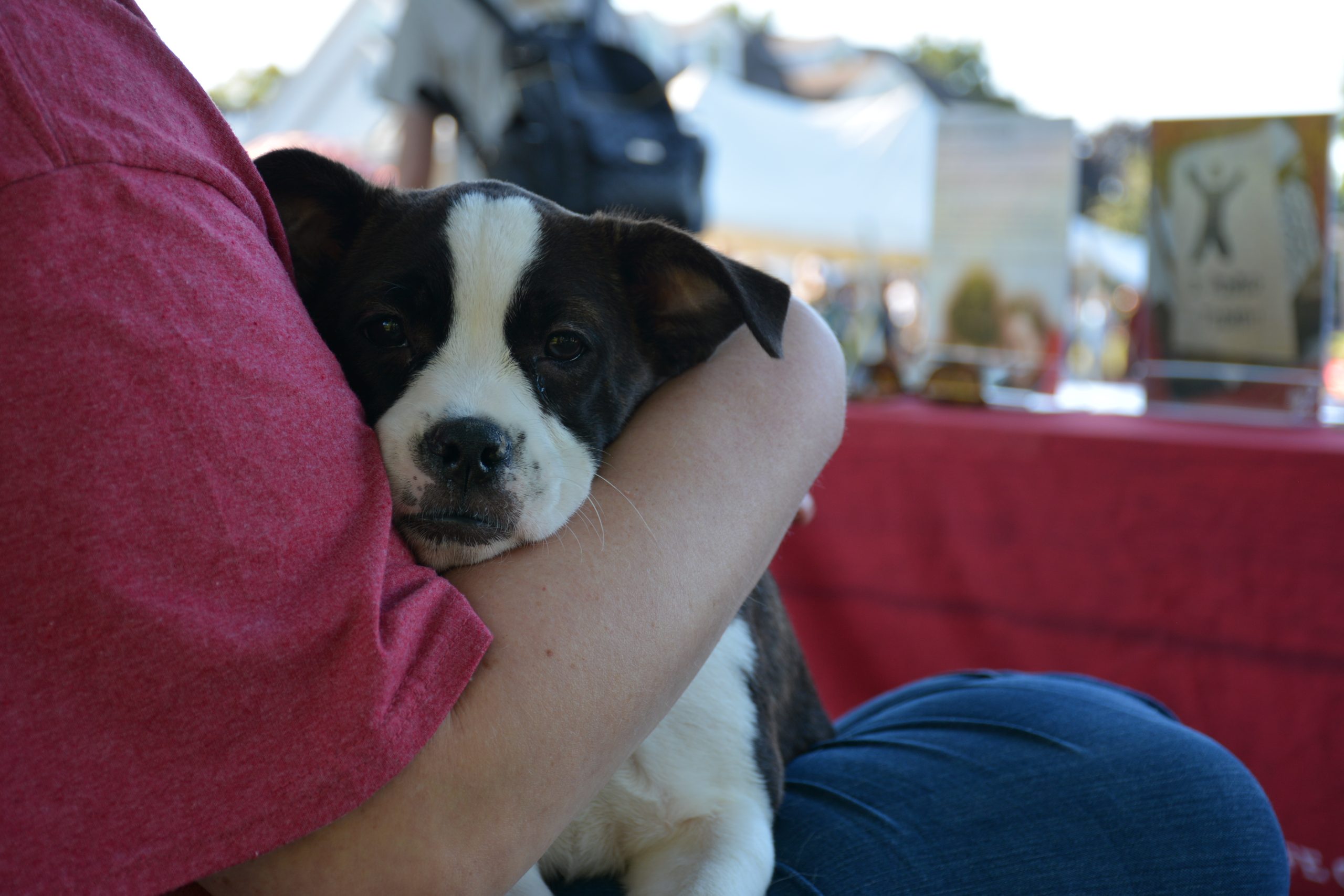 Big Event - Encompass